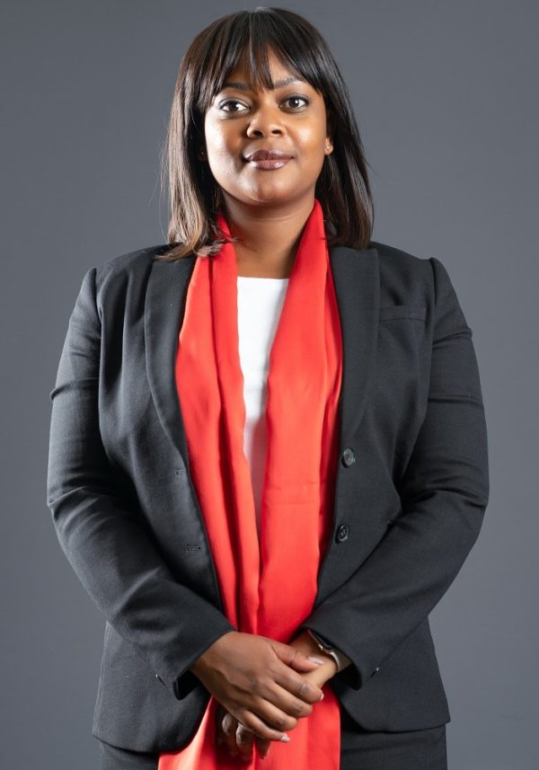Governance – Namibia Students Financial Assistance Fund